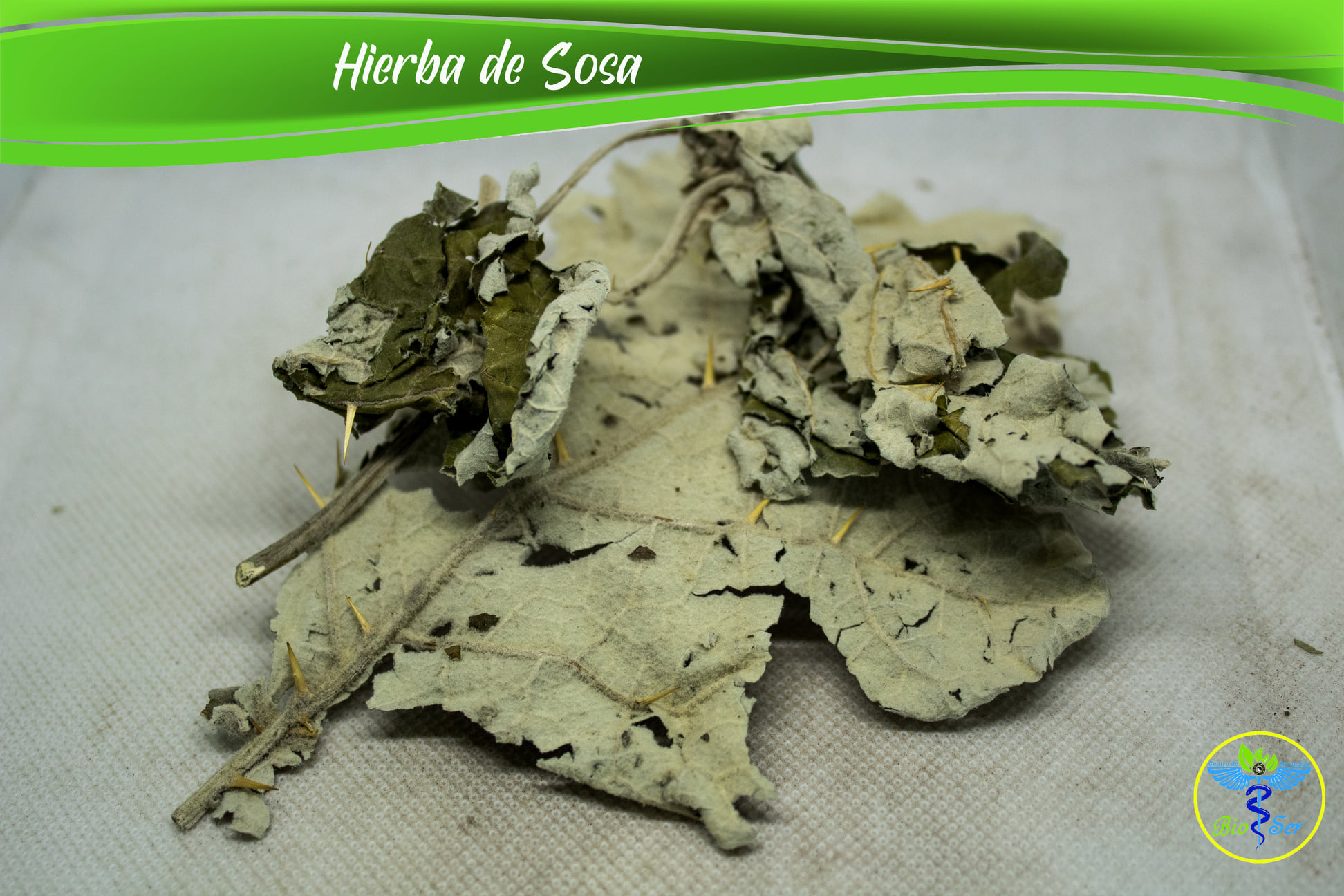 Hierba de Sosa 100 gr
